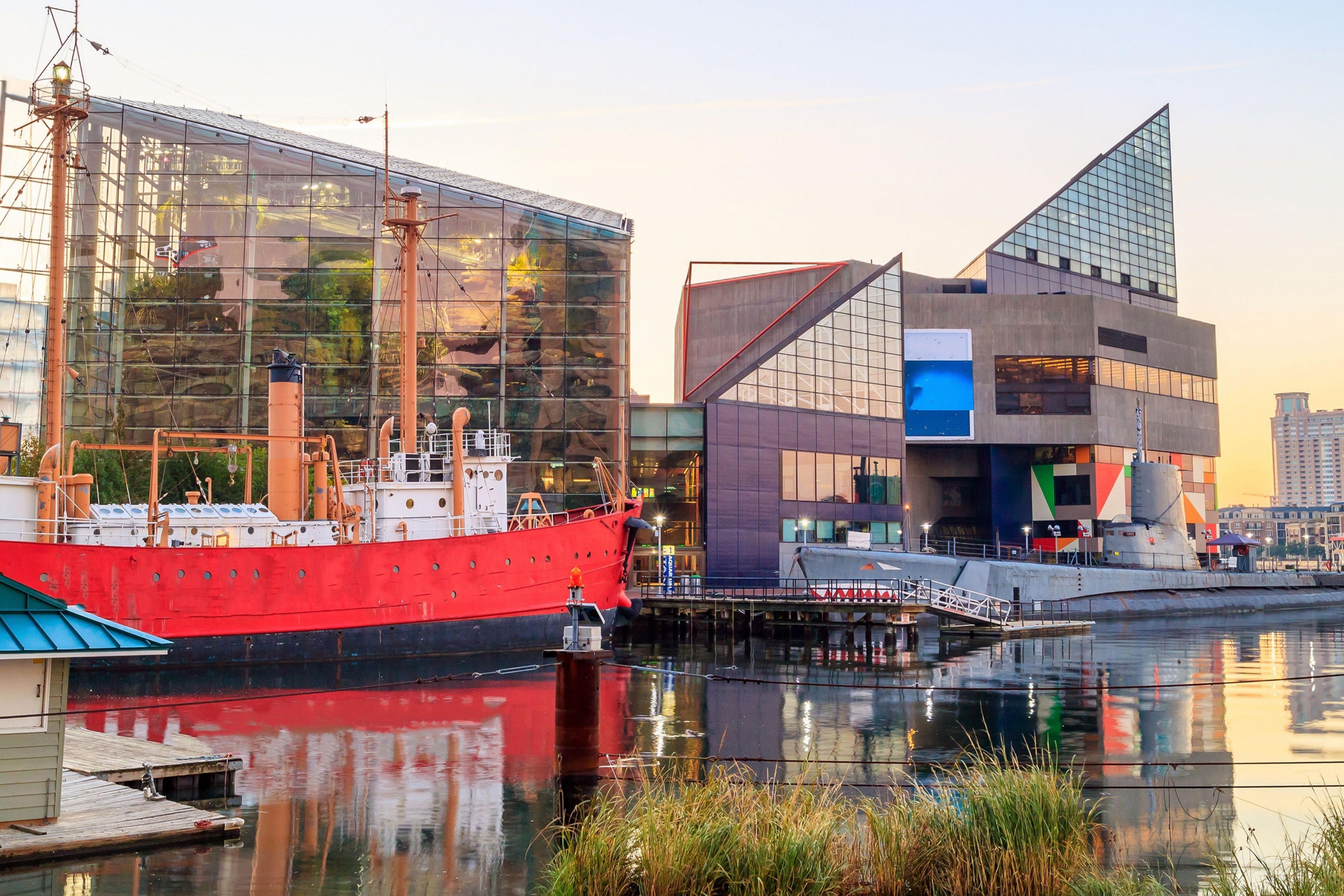 Baltimore Pet Friendly Hotel | Staybridge Suites Baltimore - Inner Harbor