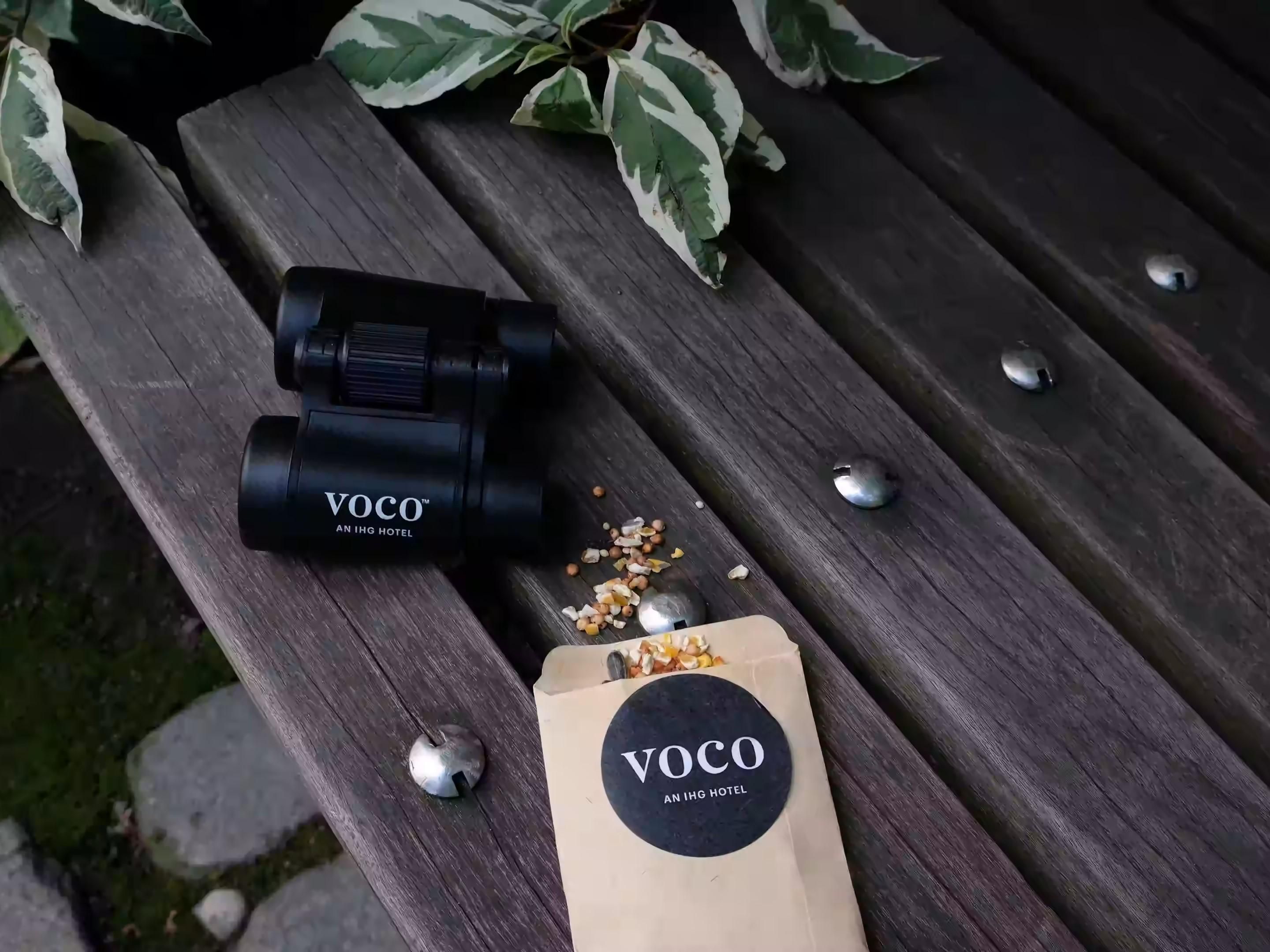 Hotels in Downtown Niagara Falls NY | voco The Cadence