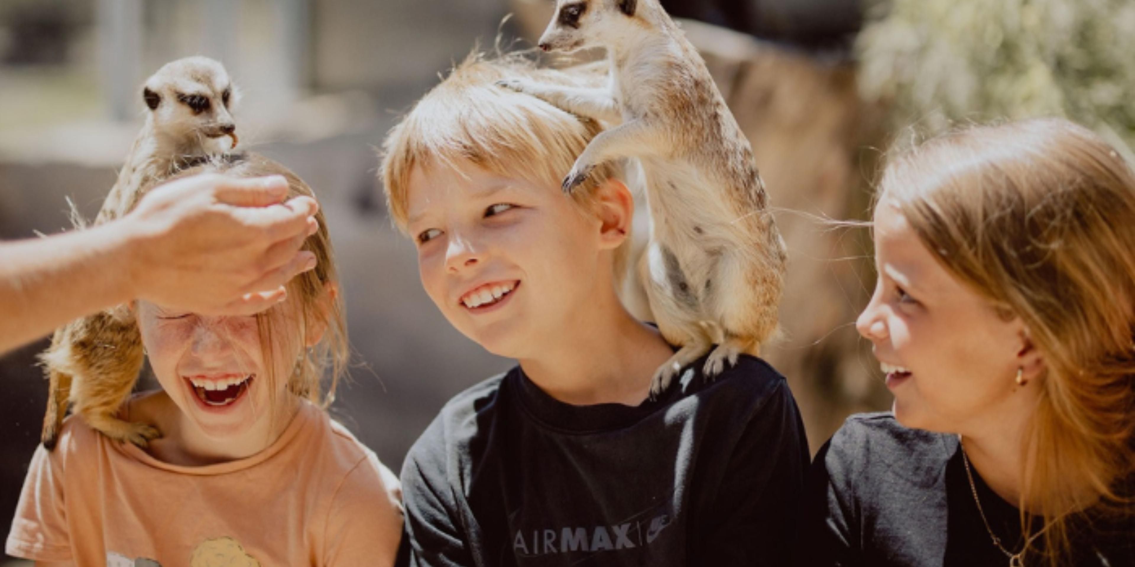 Hunter Valley 4-Star Hotel in Pokolbin | voco Kirkton Park Hunter ...